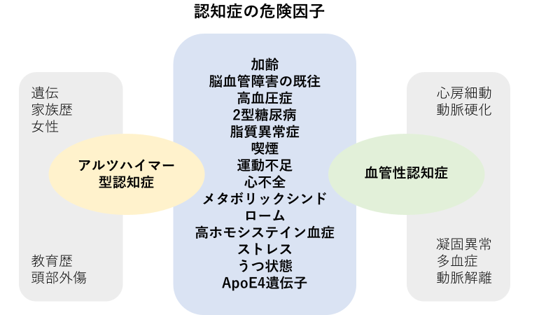血管性認知症 | ポプラクリニック | 医療法人社団優仁会 鈴木神経科病院