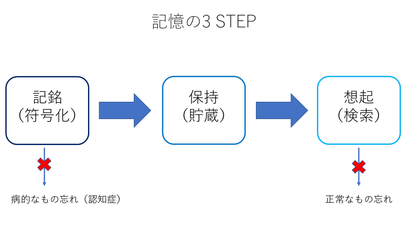 もの忘れ外来 | ポプラクリニック | 医療法人社団優仁会 鈴木神経科病院